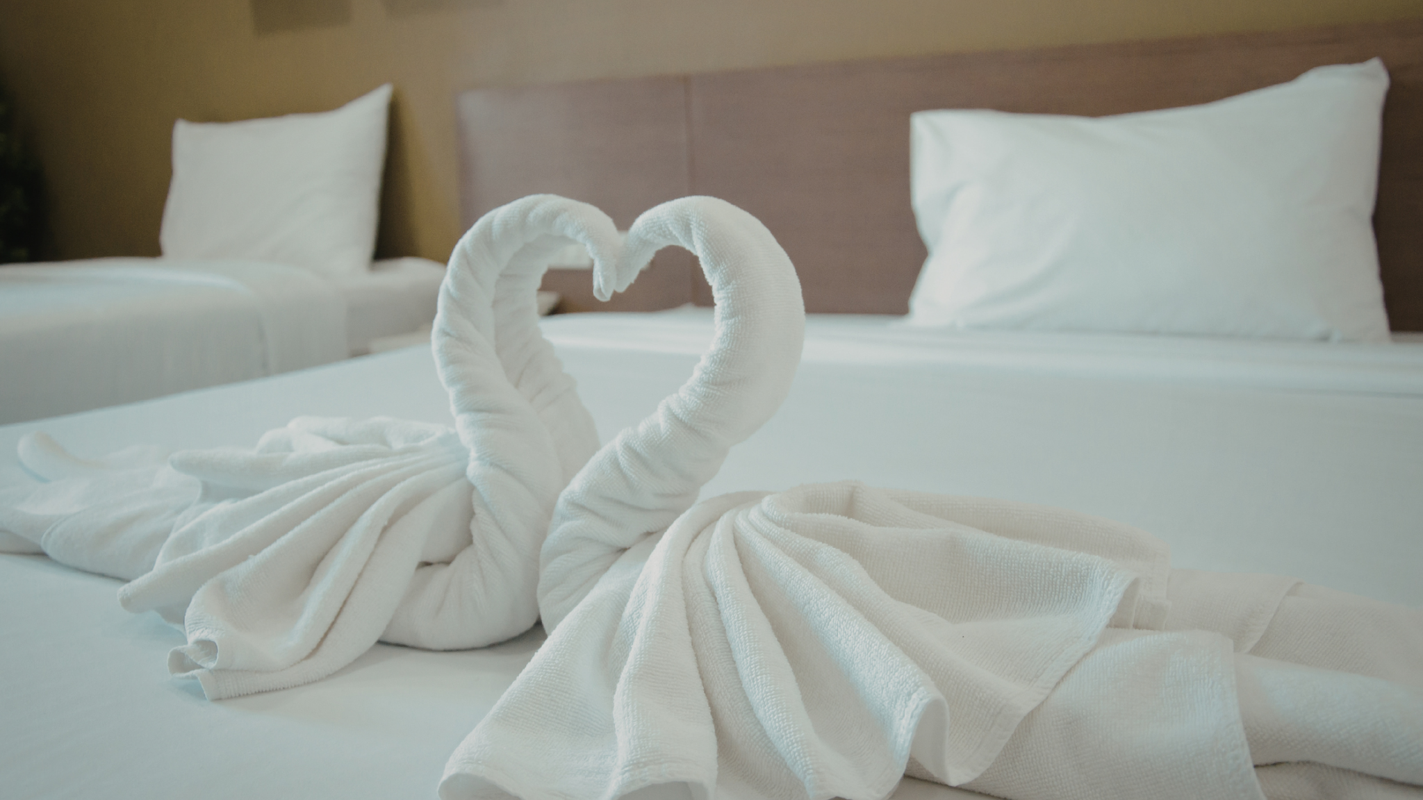 Hotel Loyalty Programs: Are They Worth It? A Complete Guide - Hotel Ninja